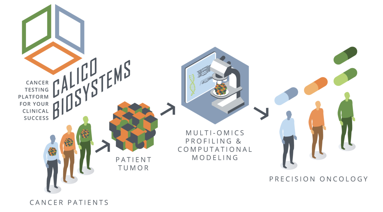 Tumor-Based Drug Testing: Innovative Solutions for Success