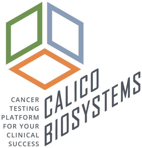 Tumor-Based Drug Testing: Innovative Solutions for Success